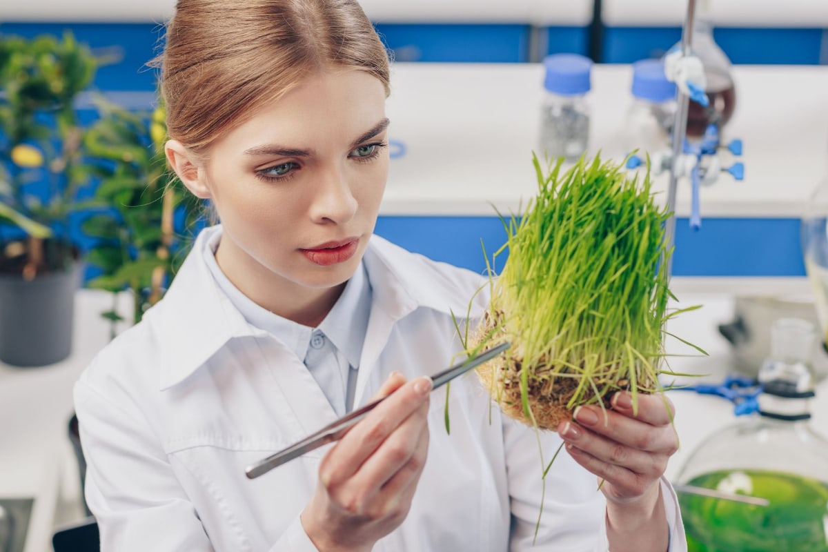 21 Hardest College Majors And Why They're Hard - College Insider